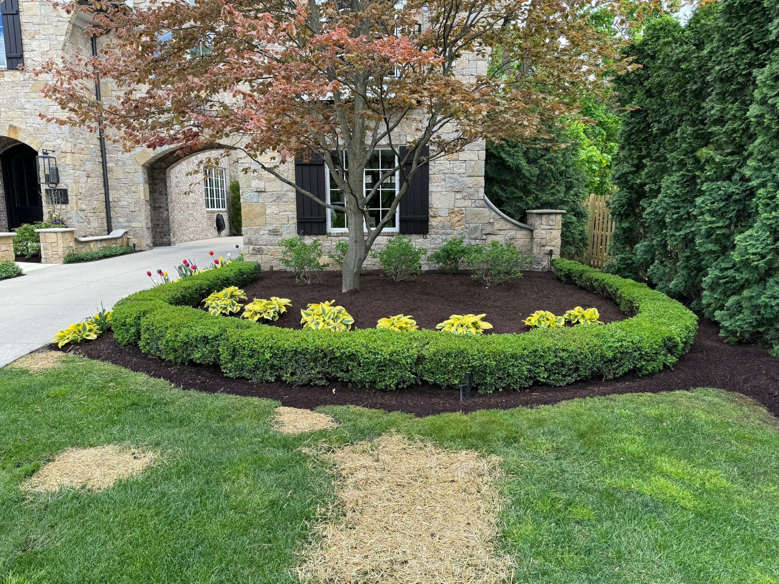 Essential Tips for Regular Pruning of Shrubs and Flowering Bushes in ...